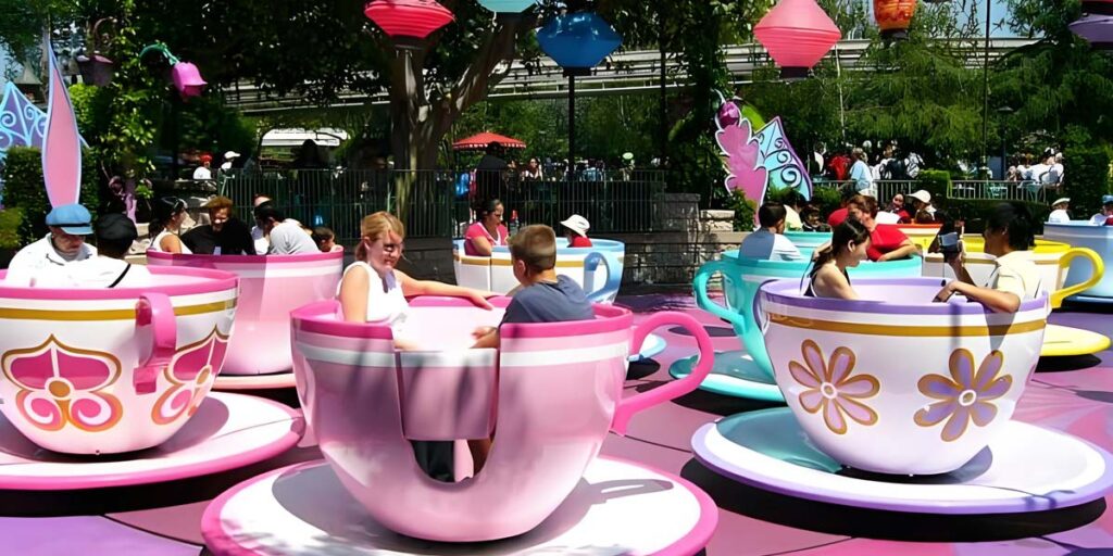 Teacup Amusement Ride FAQ Guide - Everything Park Owners Need to Know